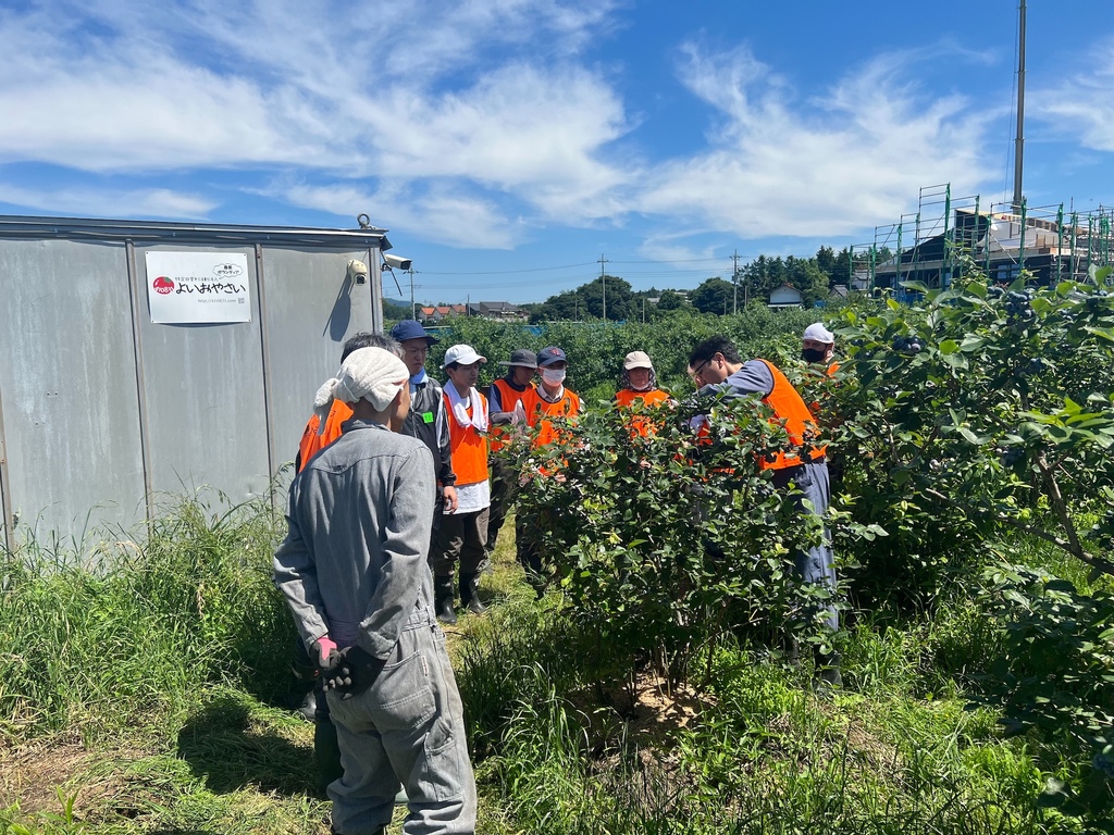 About us - Blueberry Kitchen